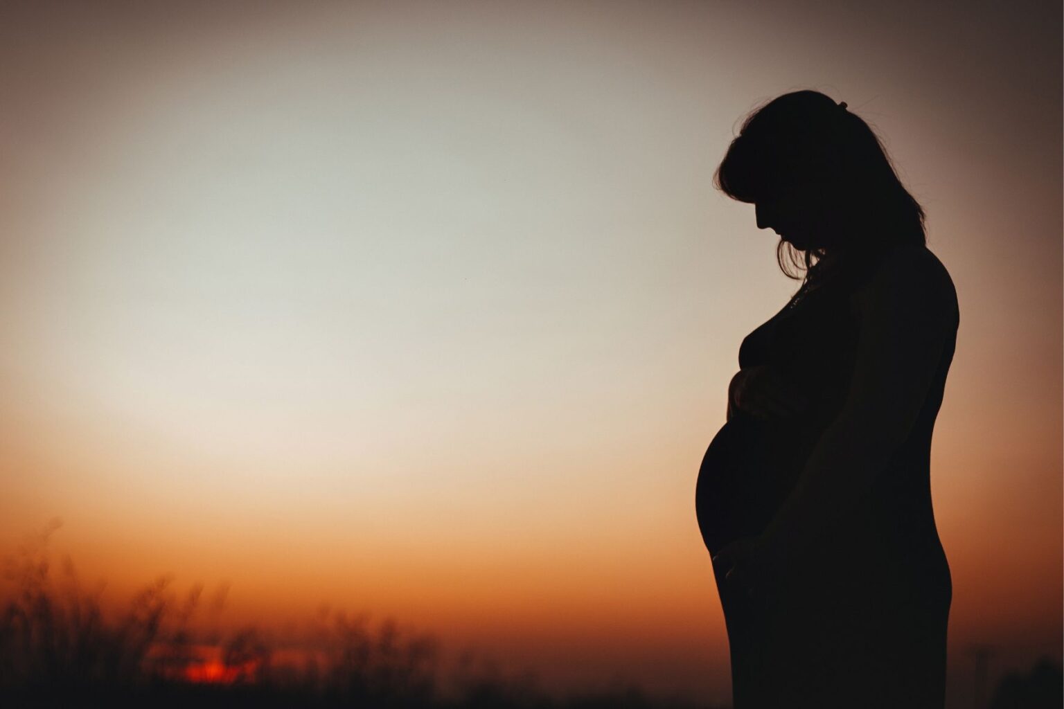 Hidronefrose fetal na gestação: Como diagnosticá-la? - Dra. Marilyse ...